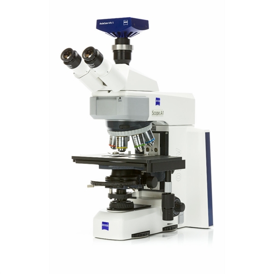 ZEISS Axio Scope.A1 ile iletken boya analizi ve kaplama-film kalınlığı ...